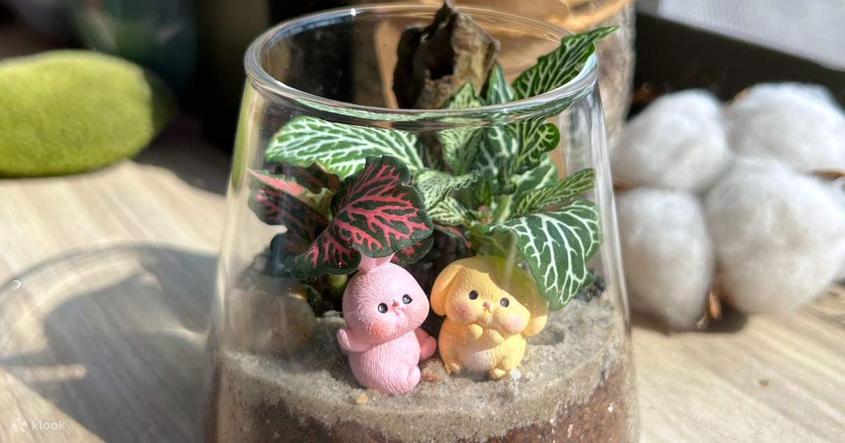 Crea tu propio terrario: Taller de terrarios de musgo y plantas de interior por Little Eden ...